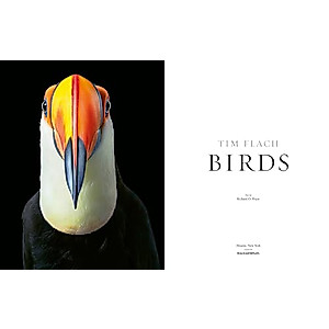 Birds: Photographs