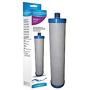 WaterSentinel WSK-1 Replacement Water Filter: Fits Whirlpool WHER12 Filters