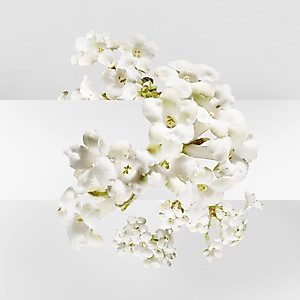 Un Jardin Sur La Lagune by Hermes for Women 3.3 oz Eau de Toilette Spray