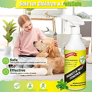 16 oz Peppermint Oil to Repel Mice and Rats, Rodent Repellent Peppermint Oil Spray for Bugs, Mouse, Roaches, Spiders, Ants, Flying Insects and More, Concentrated Formula for Powerful Protection