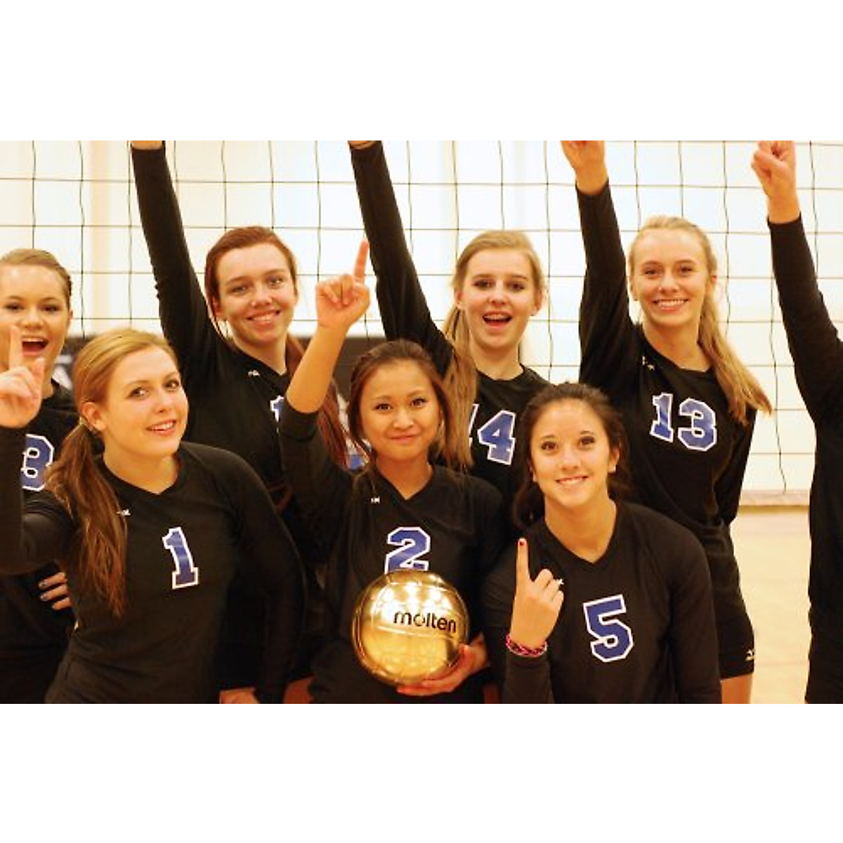 Molten Trophy Volleyball (Gold, Official)