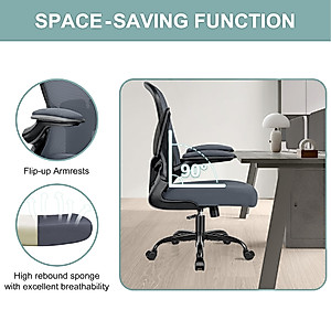 Brick Attic Ergonomic Office Chair, Lumbar Support Desk Chair with Flip-up Armrest and Breathable Mesh, Height Adjustable Swivel Office Chair Darkgray