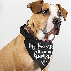 My Parents are Getting me a Human, Pregnancy Announcement Dog Bandana, Gender Reveal Photo Prop Pet Scarf Accessories,Pet Accessories for Dog Lovers, Black 2-Pack