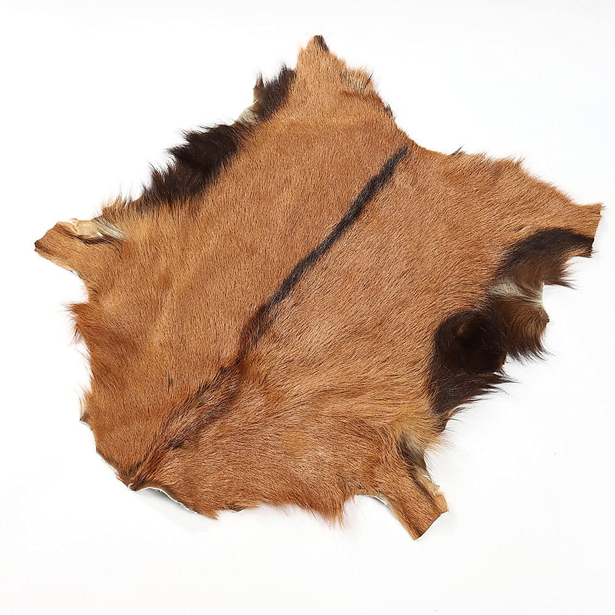 Natural Tanned Sheep Skin Antelope Fur Goat Hide Pelts Skin Springbok Fur Hide Pelt Rug Taxidermy Hunting Trophy and Fur Plush Fur Clothing Liner Bag Accessories 1PCS (16X16IN)