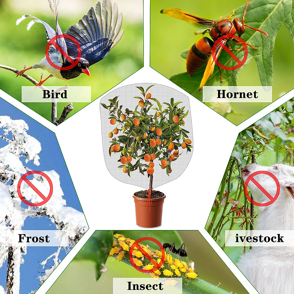 Insect Bird Barrier Mesh, Garden Netting Barrier, Bird Netting, Netting for Plant with Drawstring, 3.5 x 4.6 FT Tomato Protective Cover, Large Potted Fruit Protectors Cover for Blueberry Bushes