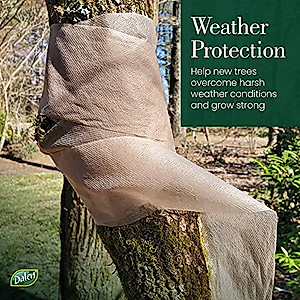Dalen Protective Tree Wrap and Breathable Material – Non-Toxic and Reusable Protection – Stimulates Faster Growth and Healthier Trees – 3" Wide x 50' Long