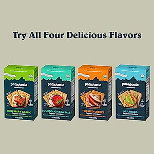 Patagonia Provisions - Sourdough Sea Salt - Certified Organic Crackers - Non-GMO, Plant-Based, No Added Sugar