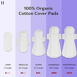 The Honey Pot Company - Regular Flow Pads with Wings - Organic Pads for Women - Herbal Infused w/Essential Oils for Cooling Effect, Cotton Cover, & Ultra-Absorbent Pulp Core - Feminine Care - 20 ct