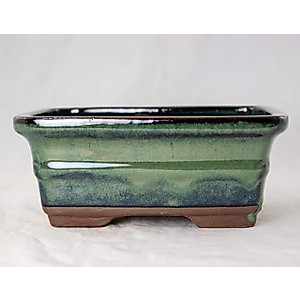 Calibonsai 6inch Rectangular Green Bonsai Succulent Pot Soil Tray Rock Mesh Kit