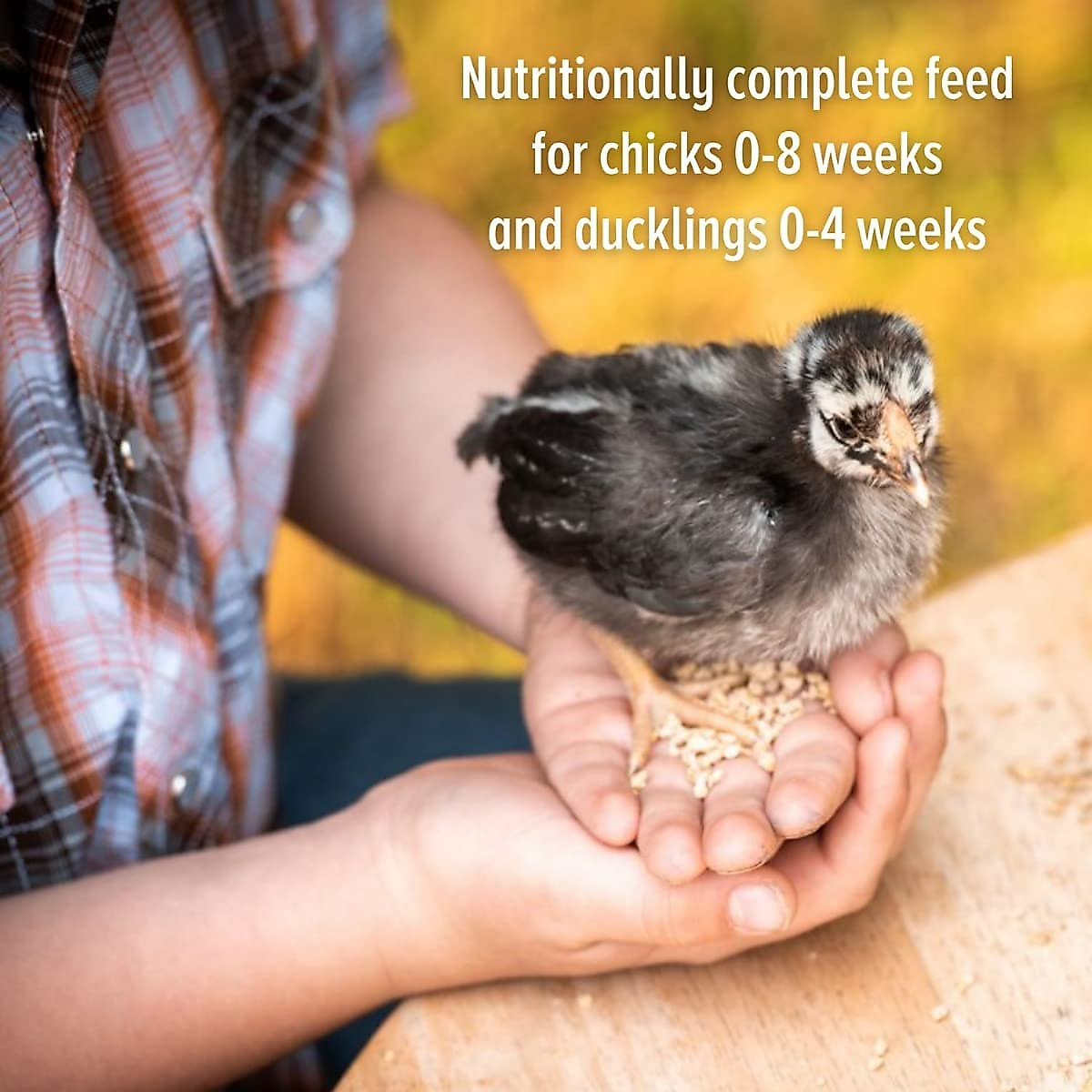 Scratch and Peck Feeds Starter Crumbles Chick Feed with Grub Protein - 25-lbs. - Certified Organic, Non-GMO Project Verified