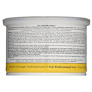 GiGi Professional Waxing Hair Removal Student Starter Kit + Honee Wax, 14 Ounces