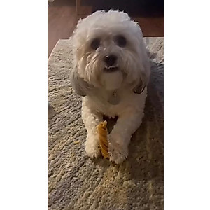 Chewer's Joy Tripe Twist 15pk 6-7in, Premium Quality, High in Protein for Strong Muscles and Bones, Minerals Like Iron & Zinc Naturally Present to Help Boost Immune System. Long Lasting chew