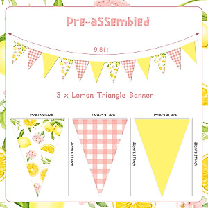 Lemon Party Decorations - 3PCS Lemon Bunting Banners, Pink and Yellow Lemon Triangle Banner Garland for Lemonade Wedding Engagement Bridal Shower Bachelorette Baby Shower Birthday Party Decor
