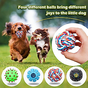 Puppy Dog Toys Set, 16pcs Dog Teething Chew Toys for Small Medium Large Dog, Dog Toys to Keep Them Busy, Interactive Dog Toothbrush Toys, Safe Training Dog Fun&Teeth Cleaning Toys (Mix Toys-16)