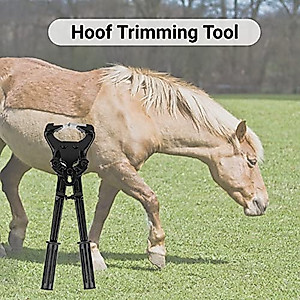 Farriers Hoof Nipper, Stainless Steel Goat Hoof Trimmer with Ergonomics Grip, Non‑Slip High‑Hardness 16.1In Cow Hoof Pincers Livestock Equipment for Hoof Trimming