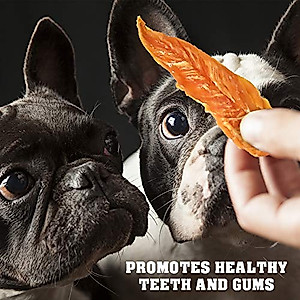Chicken Jerky Dog Treats 1.5 Lb - Human Grade Pet Snacks & Grain Free Organic Meat - All Natural High Protein Dried Strips - Best Chews for Training Small & Large Dogs - Bulk Soft Pack Made for USA