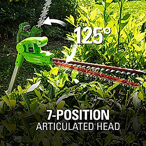 Greenworks 40V 20" Cordless Pole Hedge Trimmer, 2.0Ah Battery and Charger Included