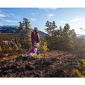 RC Pet Products Tundra Fleece Dog Coat, Cold Weather Dog Jacket, Size 14, Mulberry/Hot Coral