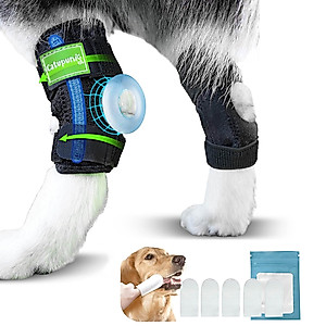 CATUPUNIS 2PCS Dog Braces for Back Leg for Support. Dog Arthritis Brace. Hind Leg Support for Dogs. Leg Brace for Dogs Back Leg. Dog Leg Brace. Dog Back Leg Support Brace. Dog Hock Brace Rear Leg (L)