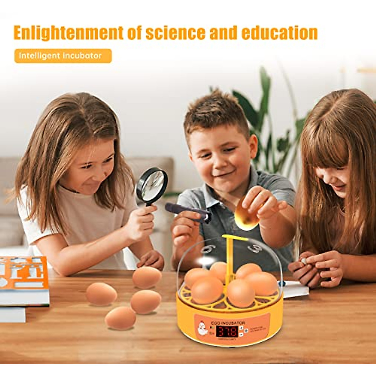 scientree Egg Incubator, 6 Eggs Poultry Hatching Machine with Automatic Egg Turning and Temperature Control, General Digital Incubators for Hatching Chicken Duck Goose Quail Birds Turkey Eggs