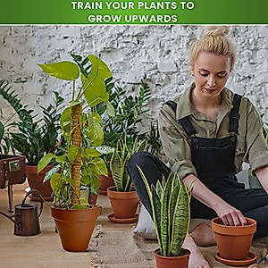 Moss Pole for Plants Monstera - 51.1” Stackable Plant Poles for Potted Plants Indoor and Outdoor (4 Pcs) – 16.9” Long Natural Coir Moss Sticks with Garden Twist Ties and Jute Rope