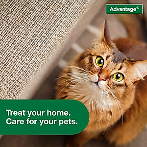 Advantage Carpet & Upholstery Spot Spray | Kills Fleas & Ticks & Bedbugs | 16 oz.