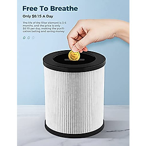 AROEVE Air Purifiers for Home Large Room Up to 1095 Sq Ft Air Cleaner Coverage CADR 220m³/h H13 True HEPA Remove 99.9% of Dust, Pet Dander, Pollen for Office, Bedroom, MK03- Black