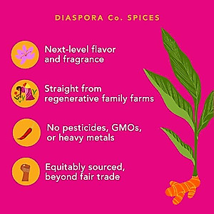 Diaspora Co. Guntur Sannam Chillies | Single-Origin Chili Powder | Medium Heat | All-purpose | 57g Everyday Tin