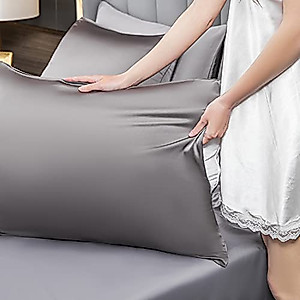 Mulberry Silk Pillowcase for Hair and Skin,Standard Size Cooling Silk Pillow Case with Hidden Zipper,Allergen Proof Dual Sides Soft Breathable Smooth Silk Pillow Cover for Women(Standard,Dark Gray)