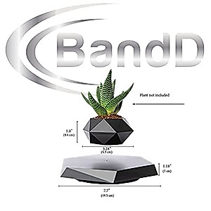 BandD Floating Plant Pot - Levitating Plant Pot for Succulents, air Bonsai & air Plants. Floating Planter for Home, Office & Desk Levitating Decor. Magnetic Floating Levitating Display. (Black)