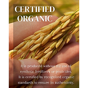 Organic Thai Red Jasmine Rice - Gluten Free - Preservative Free - Small Lot Farmed from Thailand - 2 LB