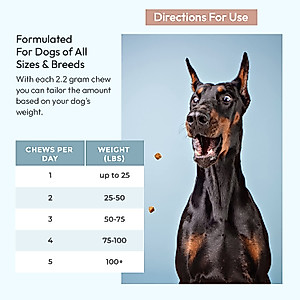 Gnawty Bites Omega Shine | Dog Skin and Coat Supplement for Healthy & Lustrous Coat with Omega 3-6-9 & Fish Oil | Dry, Irritated, & Itchy Skin Relief for Dogs, 120 Soft Chews