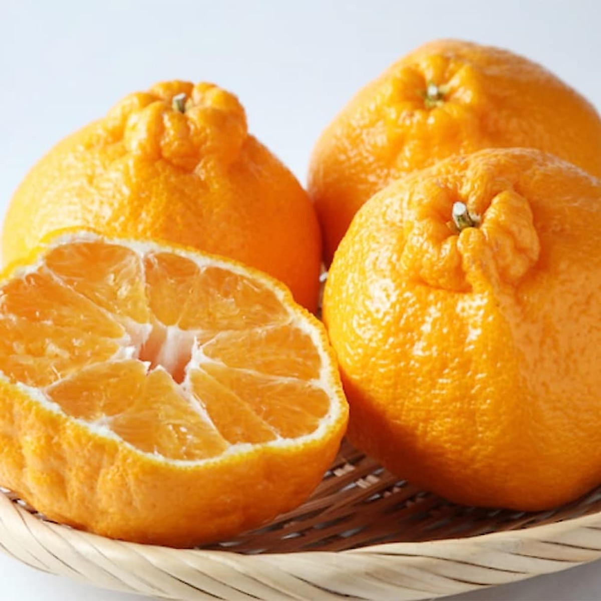 QAUZUY GARDEN 20 Dwarf Orange Bonsai Tree Seeds(Citrus Sinensis) - Heirloom Organic Citrus Fruit Seeds - Sweet Juicy Fruits Survival Gear Food Seeds