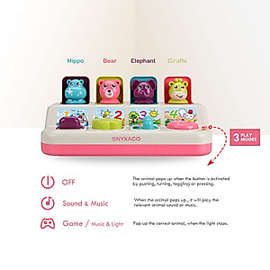 Baby Toys 6 to 12 Months