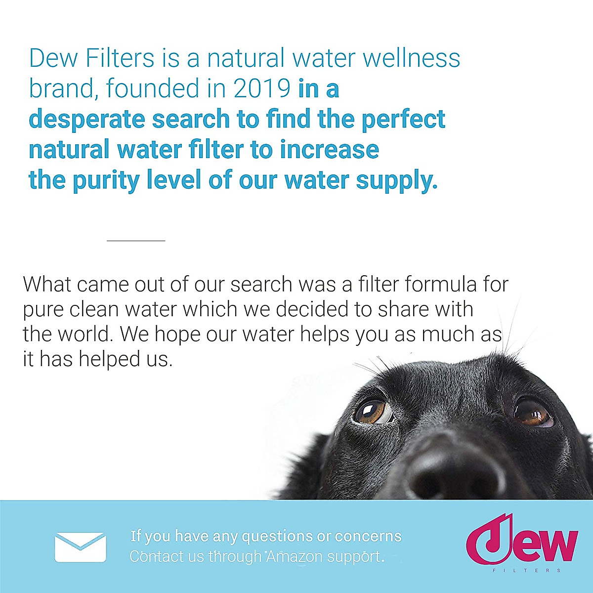 DEW FILTERS UK | BB9-2 Black Water Filter Purification Compatible Elements | PLUS PRIMER BUTTON | Traveler, Nomad, King, Big Series & Doulton Super Sterasyl | Gravity Purifier Filters