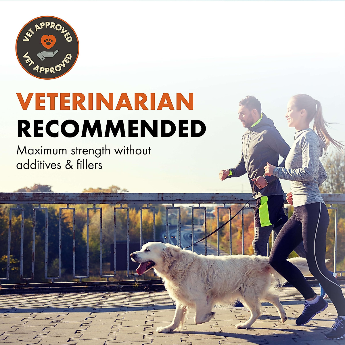 Balance Probiotic Blend for Dogs by Alpha Dog Nutrition