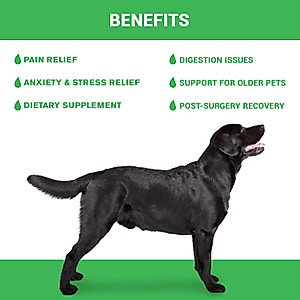 Organic Hemp Oil for Pets - Herbal Drops - Separation Anxiety and Pain Relief - Stress Support - Calming Effect - Supports Hip & Joint Health - Reduce Pain and Inflammation - 100% Natural