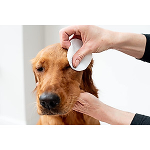 pet wiz Aloe Vera Eye Wipes for Cleaning Dogs & Cats - Extra Large