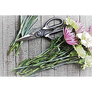 Emilio Torazzi Kitchen Scissors - Ultra Sharp Premium Multi Purpose Kitchen Shears - Heavy Duty & Dishwasher Safe