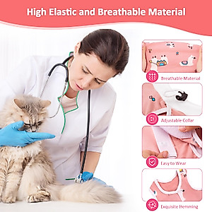 2 PCS Cat Recovery Suit for Spay Abdominal Wounds, Cat Onesie for Cats After Surgery, Cat Surgery Recovery Suit Female Breathable E-Collar Alternative Kitten Onesie for Cats Anti Licking (Medium)