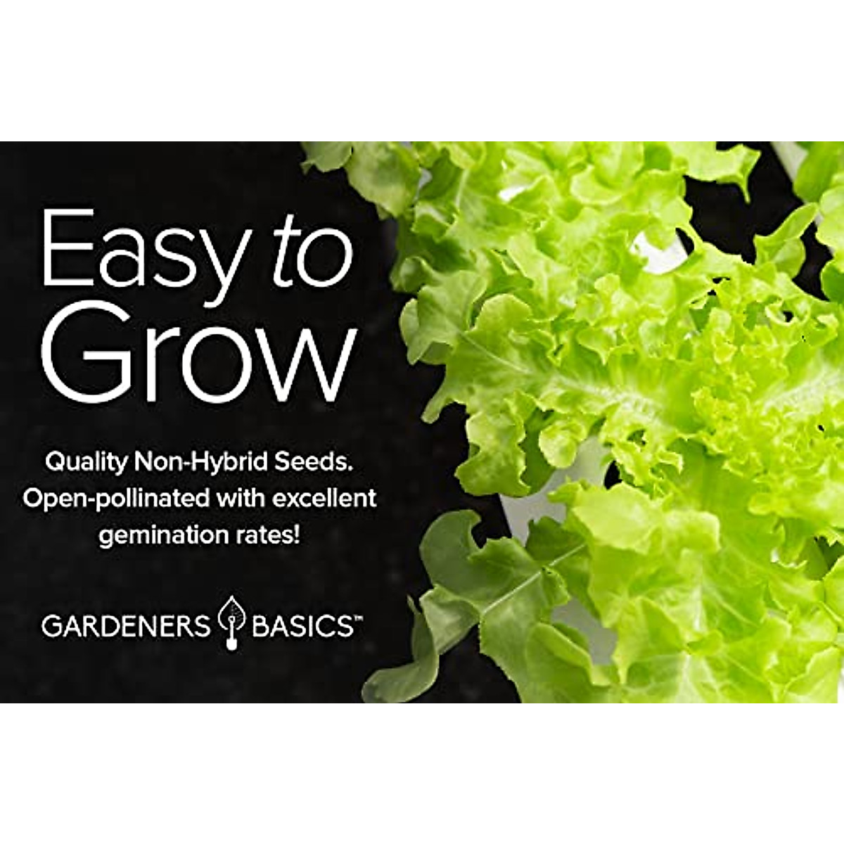 Hydroponic Seeds for Planting Planting Indoors and Outdoor 5 Variety Pack - Tatsoi, Kale, Buttercrunch, Romaine and Loose Leaf Lettuce Seeds by Gardeners Basics