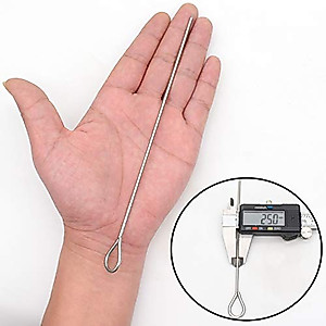 HONSHEN 8 Inch Stainless Steel Skewers,Roast goose needle Barbecue Skewers, BBQ Skewers, Shish Kebab Kabob Skewers 12 pcs