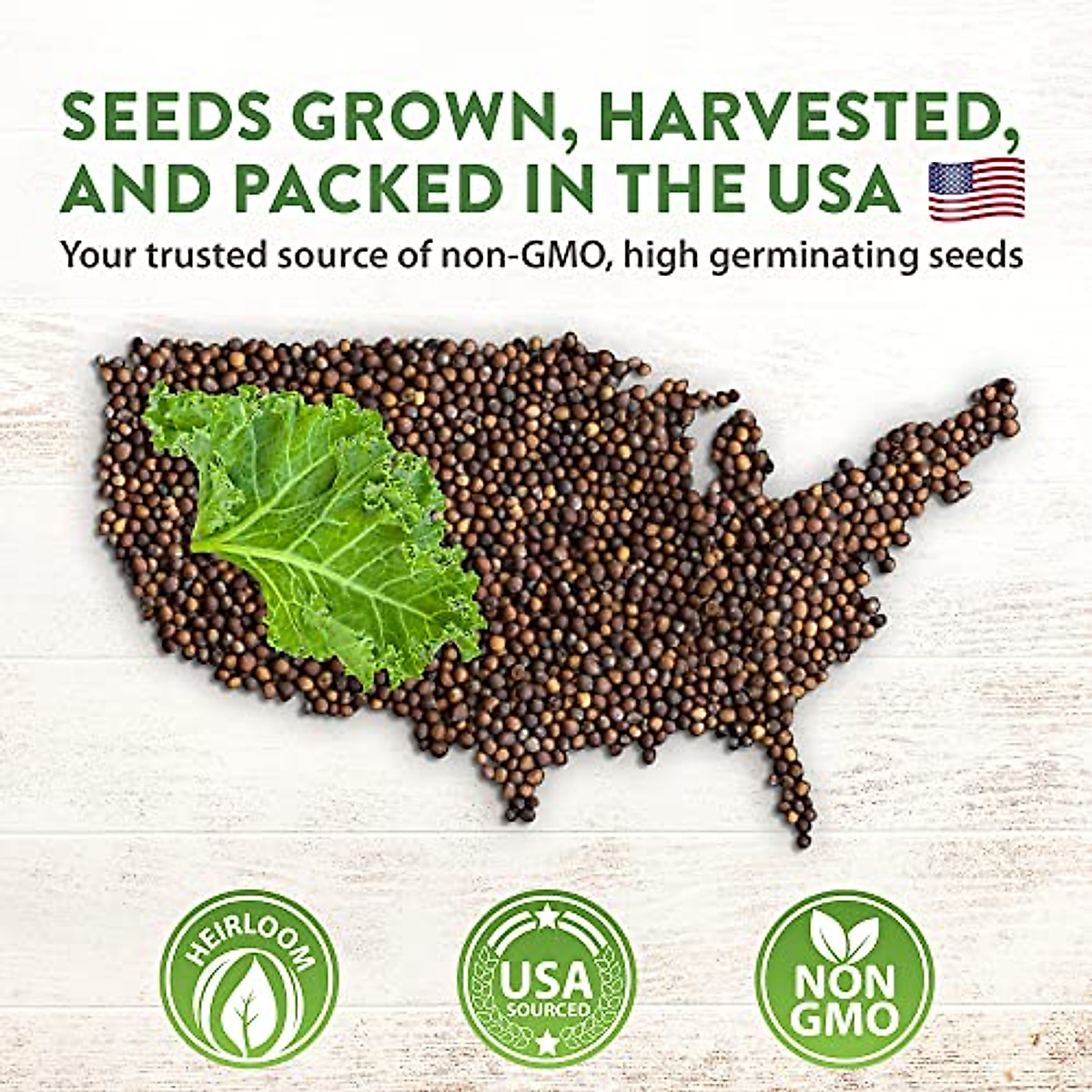 Lettuce & Salad Greens Seed Vault - 4,000+ Non-GMO Vegetable Seeds for Outdoors or Indoors - Romaine, Iceberg Lettuce Seeds for Planting, Kale Spinach & More: Hydroponic Home Garden Seeds (8 Variety)