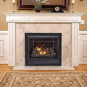 Duluth Forge Dual Fuel Ventless Gas Fireplace Insert, Remote Control, 9 Fire Logs, Use with Natural Gas or Liquid Propane, 32000 BTU, Heats up to 1500 Sq. Ft., Black