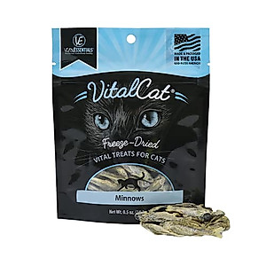 Vital Essentials Freeze Dried Cat Treats, Minnows 0.5 oz