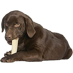 American Made Treat Co - Dog Treats, All Natural Flavor Beef Rawhide Chip Rolls, Puppies to Seniors, Dental Dog Bone Alternative - 5” Rolls -22 Pack