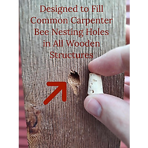 Donaldson Farms Carpenter Bee Corks - 100 Pack