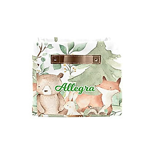 Cute Woodland Animals Personalized Storage Bins Basket Cubic Organizer with Durable Handle for Shelves Wardrobe Nursery Toy 1 Pack