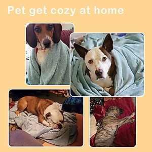 Dog Blankets for Large Dogs, Super Soft Warm Sherpa Fleece Plush Doggie Blankets and Throws for Small Medium Puppy Doggy Pet Cats，50x60 inches