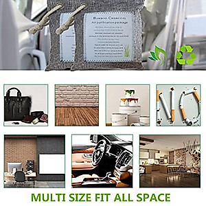 Bamboo Charcoal Air Purifying Bag 10 Pack Charcoal Bags Odor Absorber Activated Charcoal Bags Odor Absorber Moisture Absorber Natural Car Air Freshener Shoe Deodorizer Odor Eliminator (4x200g, 6x100g)